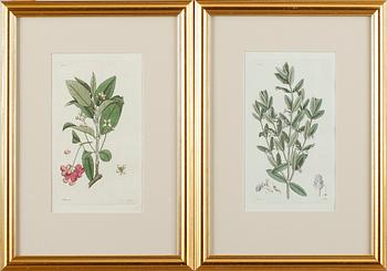 JOHAN WILHELM PALMSTRUCH, 6 st, handkolorerade kopparstick. - Bukowskis