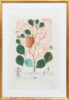 Salvador Dalí, "Begonia" from "Flordali" 1968. - Bukowskis