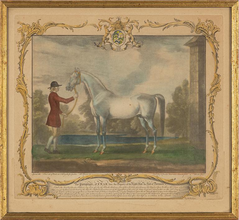 Richard Houston, after, Horse Portraits, 6 pcs. - Bukowskis