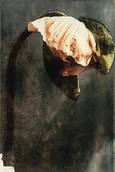 Ewa-Marie Rundquist, fotografi signerad och numrerad 1/3 a tergo ...