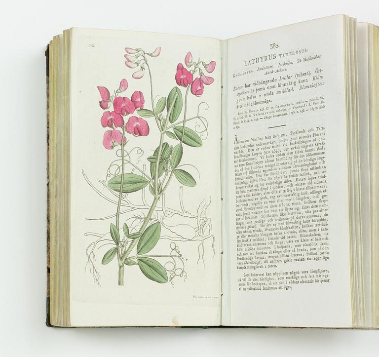 Johan Wilhelm Palmstruch, SVENSK BOTANIK. 1-11[all published]. - Bukowskis