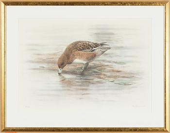 Lars Jonsson, And. - Bukowskis