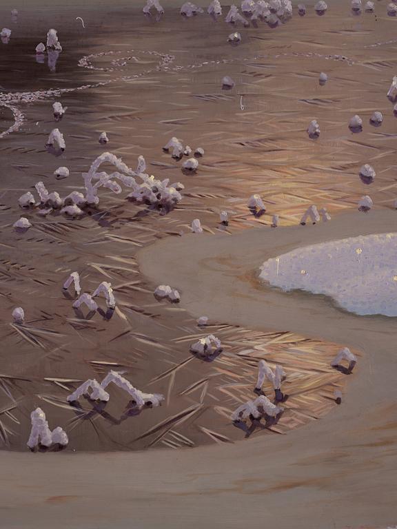 Gustaf Fjaestad, Rimfrost på en frusen sjö. - Bukowskis