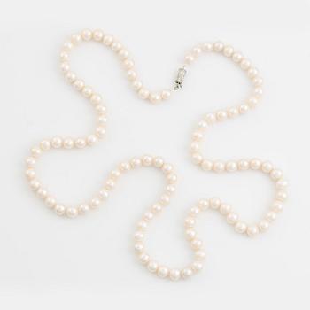 Pearl necklace cultured pearls, clasp in 18K white gold. - Bukowskis