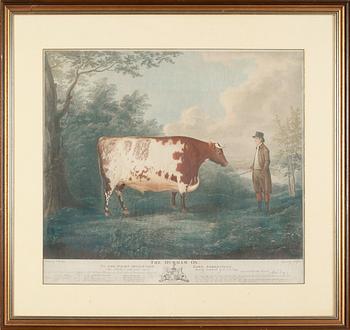 JOHN BOULTBEE, efter, kopparstick, 1800-tal. - Bukowskis