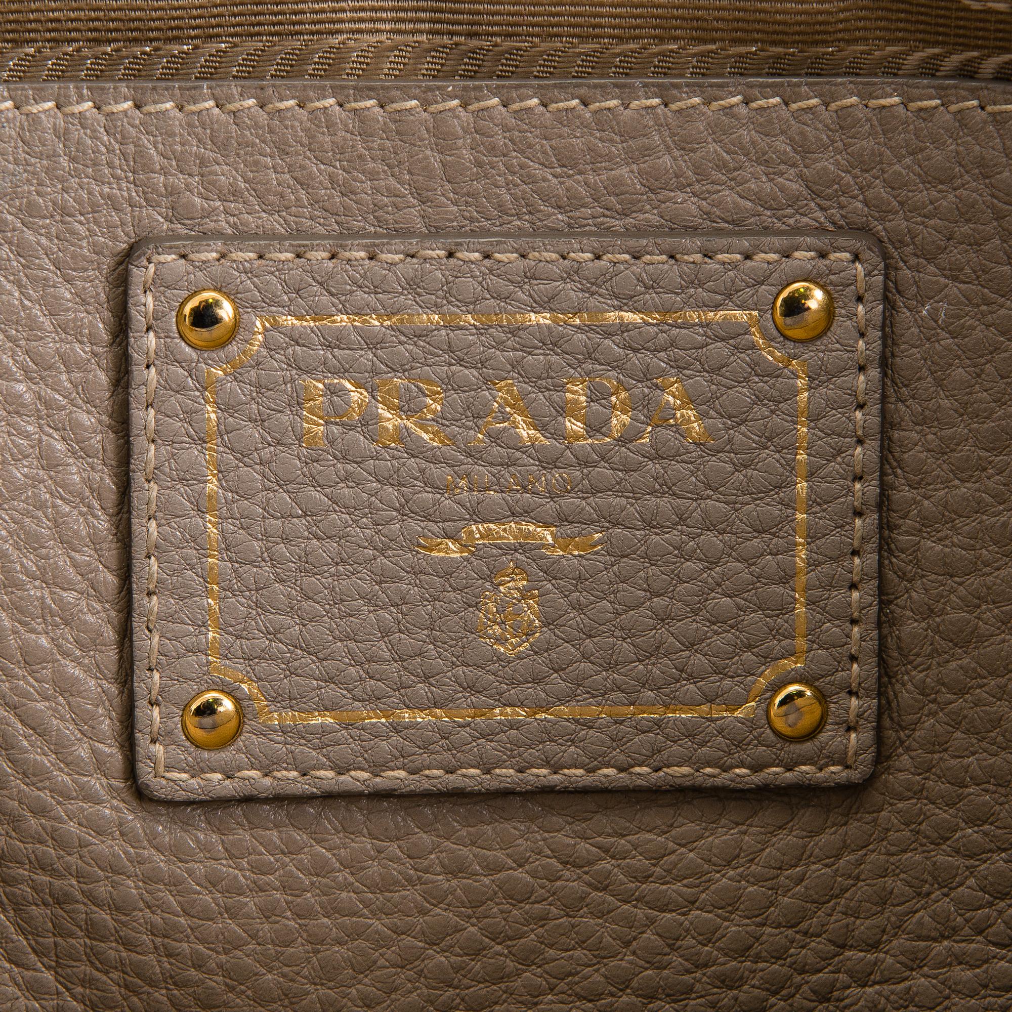 daino coloring pages