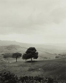 Tobias Regell, "Sicily". - Bukowskis