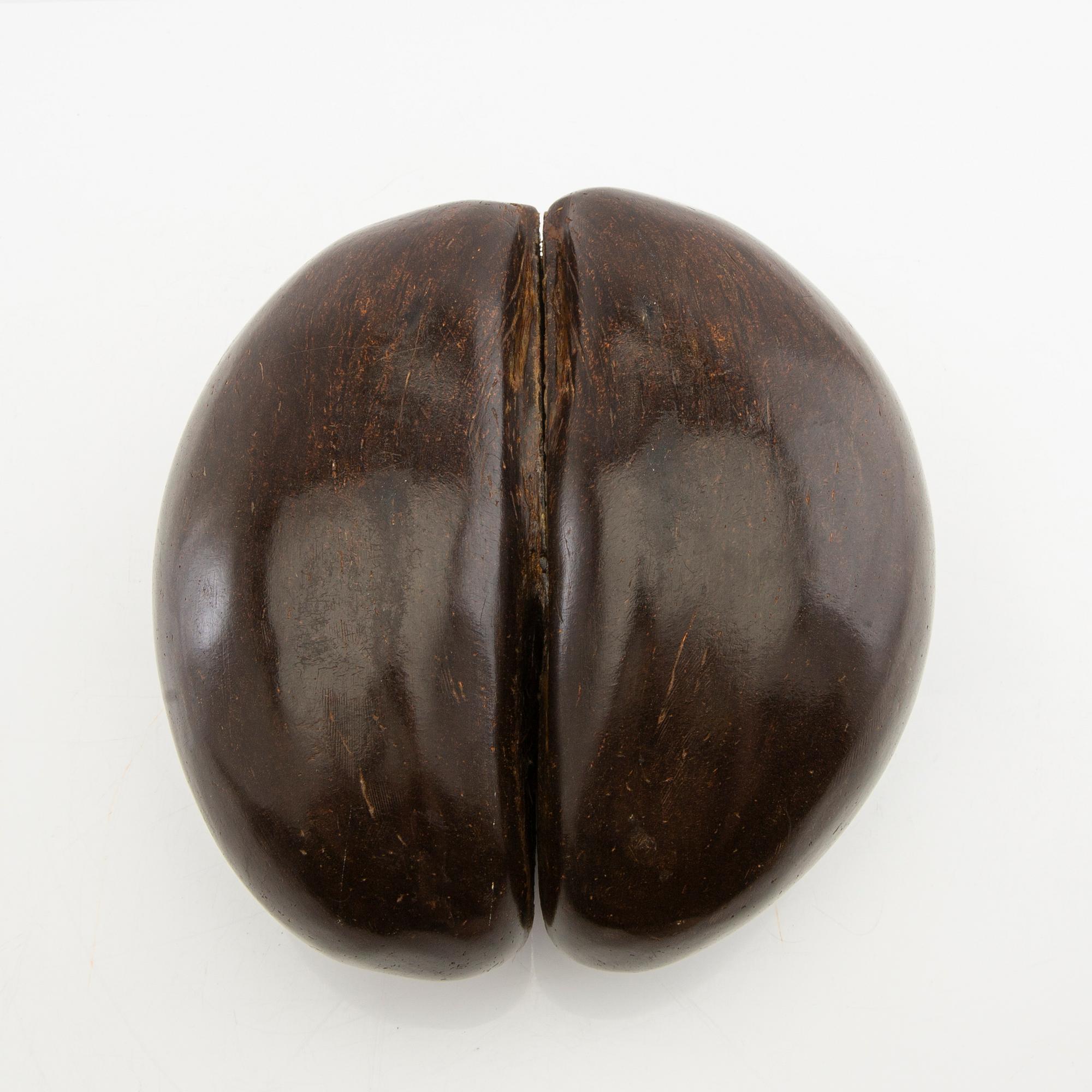 Double Coconut, also known as Coco de Mer, Lodoicea maldivica. - Bukowskis