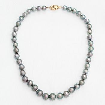 A pearl collier with cultured Tahitian pearls, clasp in 14K gold ...