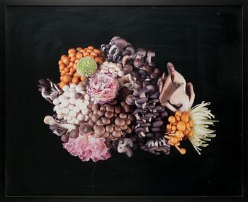 Saara Ekström, 'Cluster' (from the series 'Excess & Ascesis'). - Bukowskis