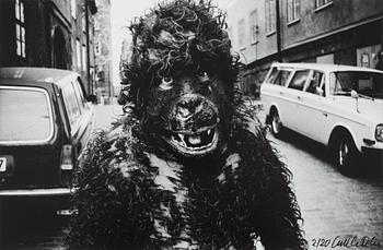 Carl Johan De Geer, The Monkey Saba, From "Tårtan", 1972. - Bukowskis