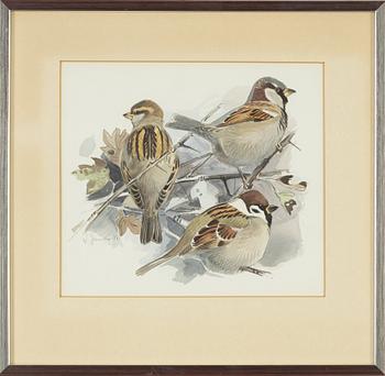 Lars Jonsson, water color, signed and dated -77. - Bukowskis